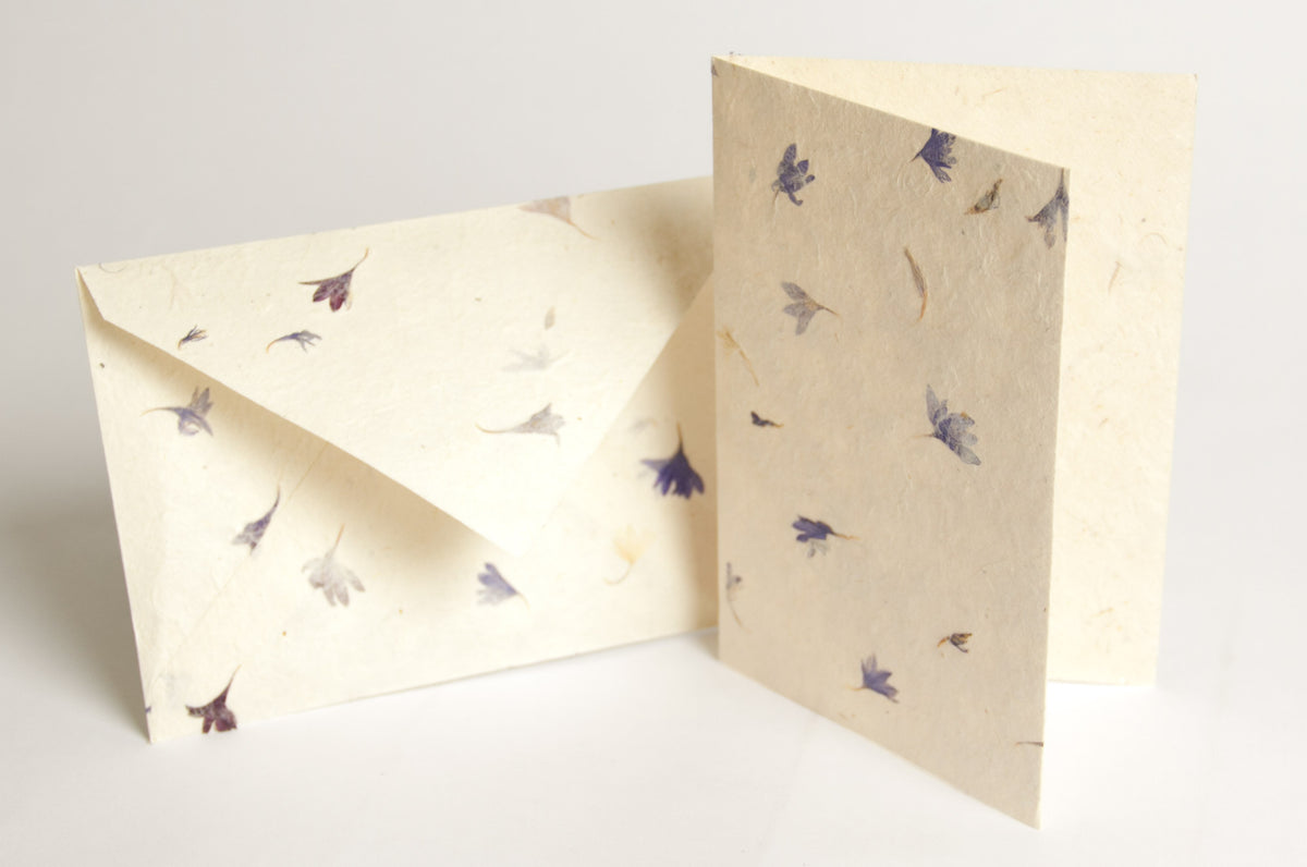 A6 Lokta Notelets/Envelopes - 10 Sets – Anglesey Paper Company