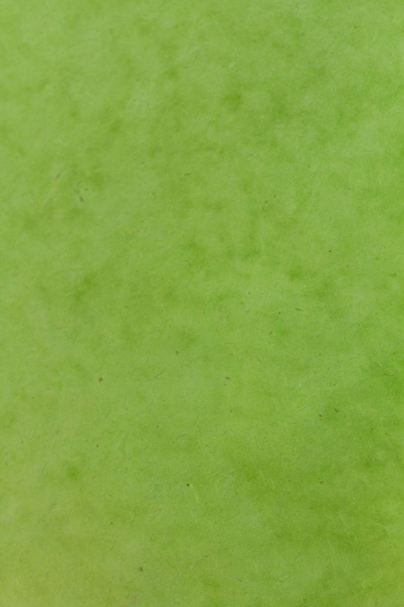 A4 Lokta Printer Paper - Green ~ 20 Sheets – Anglesey Paper Company